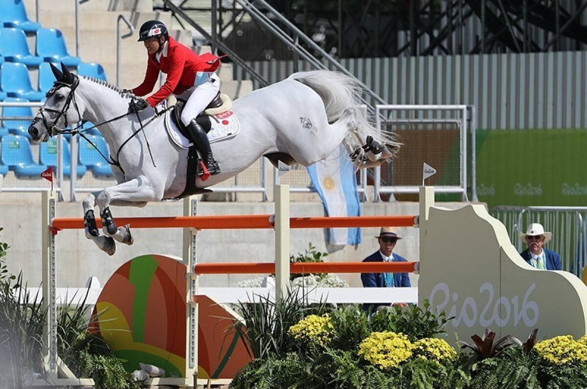 Saddle Up for Gold: An Equestrian Olympics Trivia Quiz - Can You Gallop ...