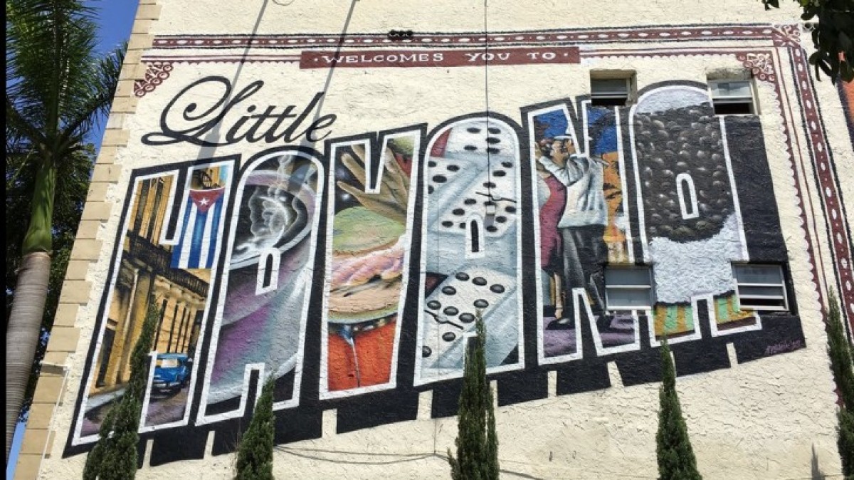 Daily Trivia (November 4, 2019) Little Havana and General Knowledge Quiz